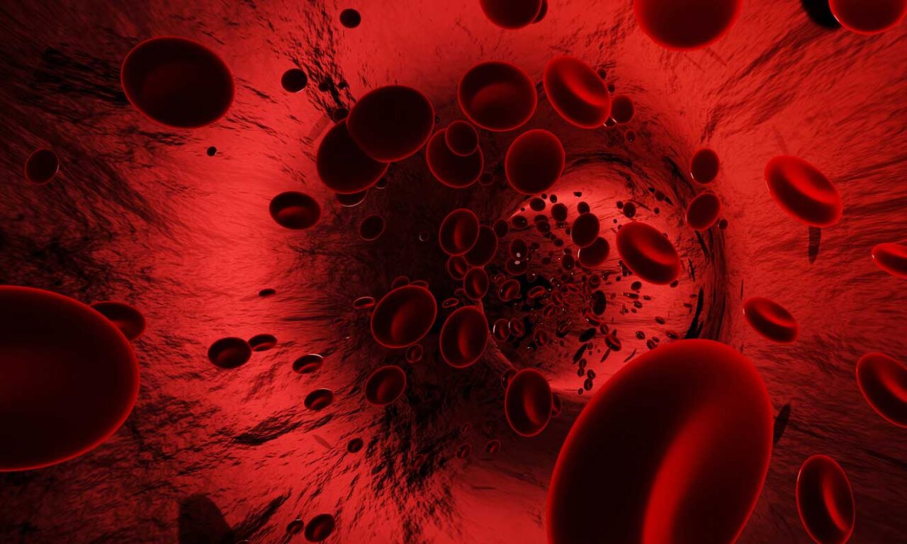 5 Blood markers that you should understand and monitor - Rushcutters Health